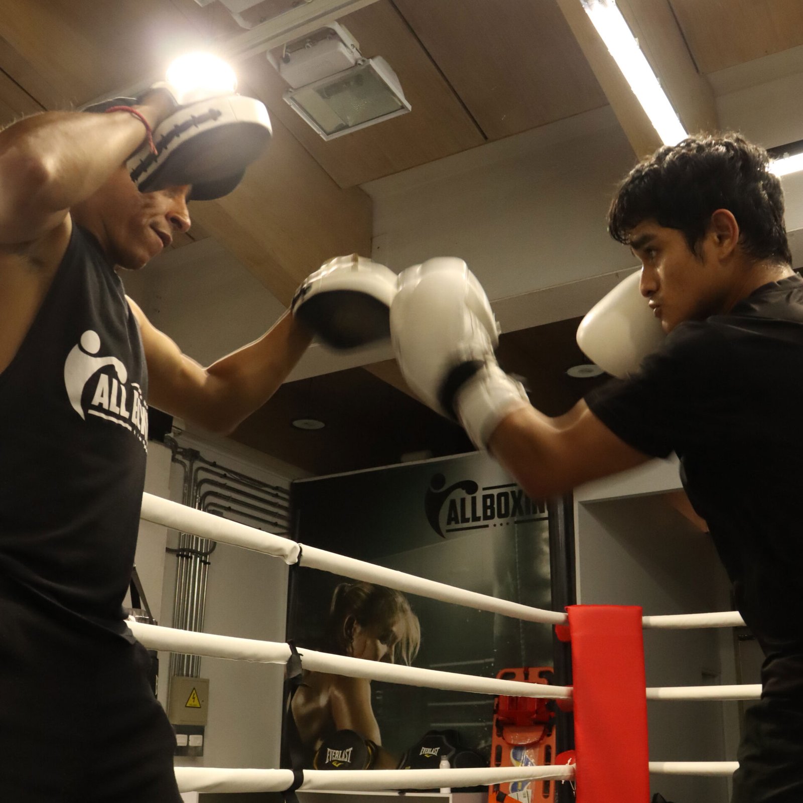 Home - allboxing.cl