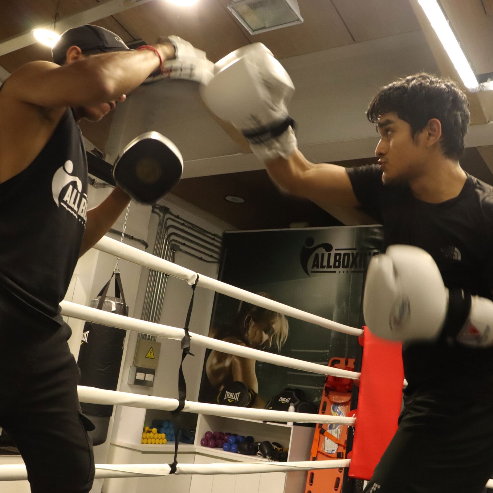 Home - allboxing.cl
